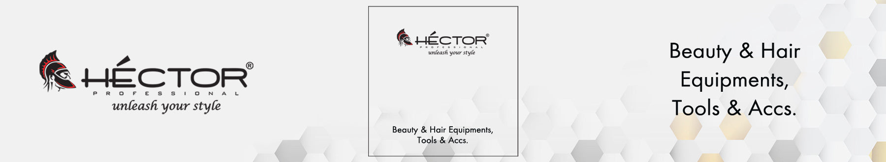 Hector Professionals – The Hector World